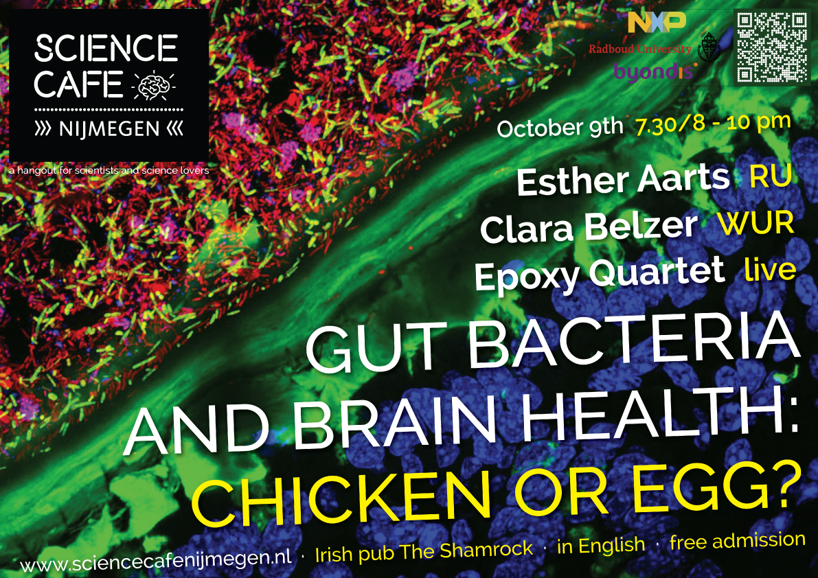 GUT BACTERIA AND BRAIN HEALTH: CHICKEN OR EGG? - Briskr